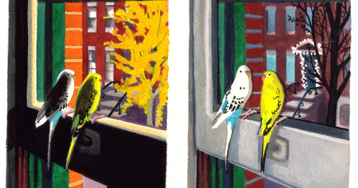 2 Birds 4 Seasons | Ann Decker | Paintings